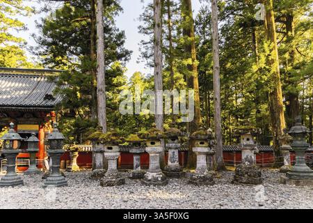 The even rows of stone sculptures - lanterns. Nikko Tosho-gu is a ...