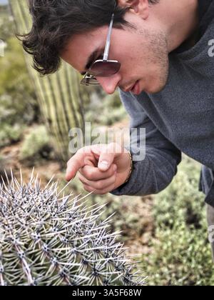 Man touching cactus in countryside field during daytime Stock Photo - Alamy