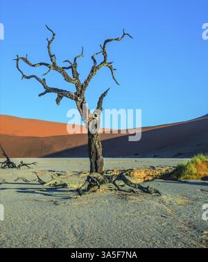 Ecotourism in Namibia, Namib-Naukluft National Park. The bottom of ...