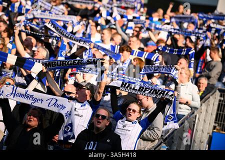 HSV fans in the women football match FC BAYERN MueNCHEN - HAMBURGER SV ...