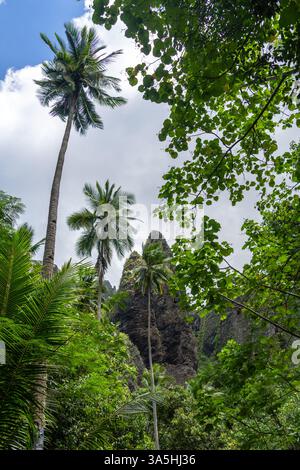 A lush jungle path through Hakaui Valley, Nuku Hiva, Marquesas Islands ...