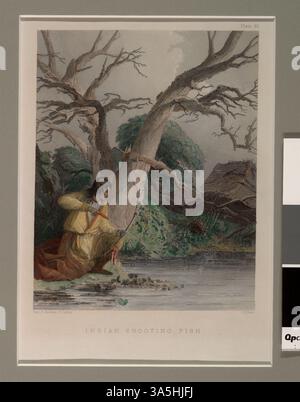 This print by Seth Eastman depicts a Native American activity, showing ...
