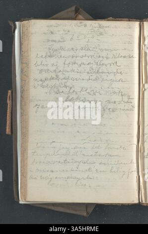 This document details the experiences of a United States government ...