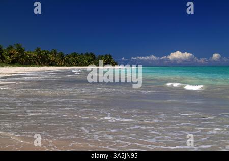 Brazil, Alagoas State, Maceio. Deserted, pristine, exotic tropical palm ...