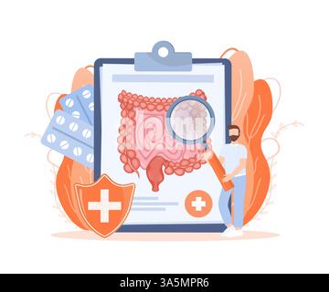 intestine,gastrointestinal,alimentary,jejunum,flora,system,digestive ...
