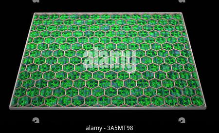 Biophotovoltaics BPV. Photomicrobial fuel cells. Biological solar ...