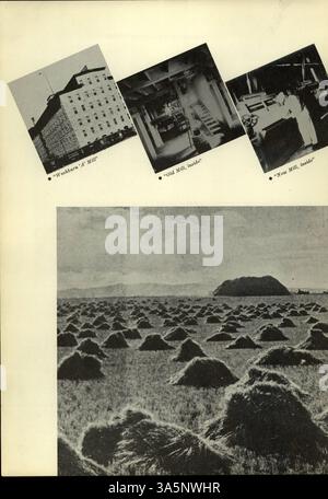 The 'Wahian' yearbook from 1937 offers a detailed record of Washburn ...