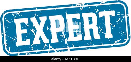 expert stamp. expert rectangular sign isolated on transparent ...