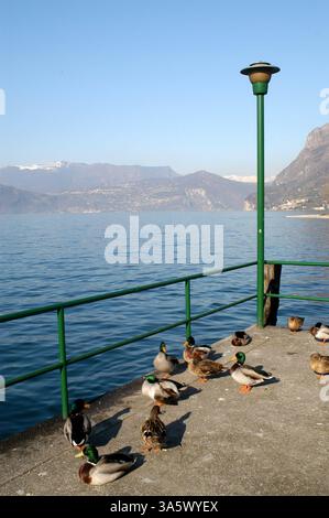 - lake-front of Marone village, on Iseo lake....- lungolago del paese di Marone, sul lago d'Iseo ...
