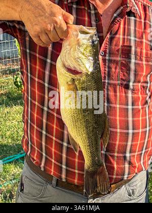 A bass fisherman holds a largemouth bass he has just caught from an arm ...