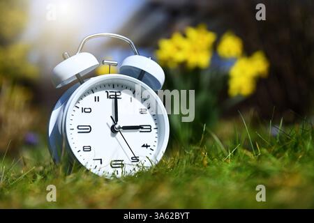 Weißer Wecker vor Frühlingsblumen, Symbolfoto Sommerzeit und ...