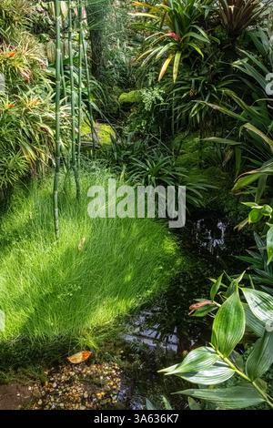 USA, Georgia, Atlanta, Rotunda in Georgia State Capitol Stock Photo - Alamy