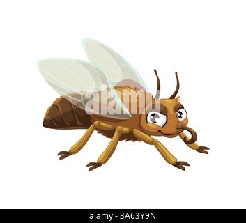 Fly cartoon isolated. horsefly, gadfly Vector illustration Stock Vector ...