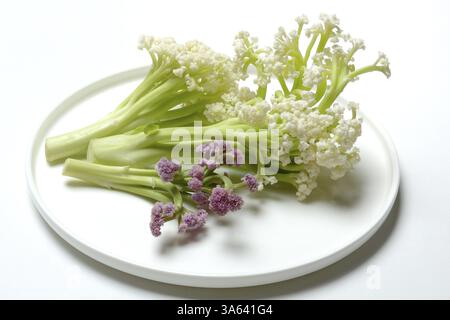 Fioretto, a cross between cauliflower and broccoli. The flowers are ...