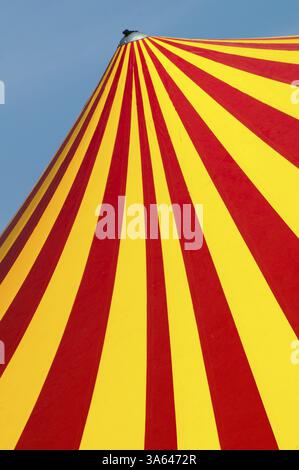Red and yellow circus dome Stock Photo - Alamy