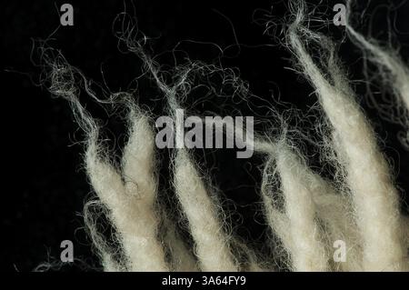 White wool fibers closeup. Black isolated Stock Photo - Alamy