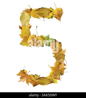 Number five made of autumn leaves Stock Photo - Alamy