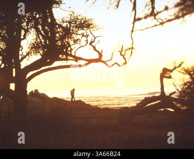 Feb 08, 1971; Hollywood, CA, USA; JESSICA WALTER as Evelyn Draper in ...