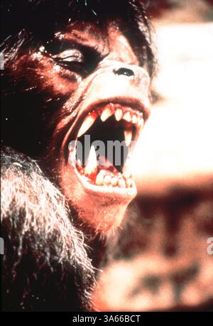 RELEASE DATE: 1981 MOVIE TITLE: Full Moon High STUDIO: Filmways ...