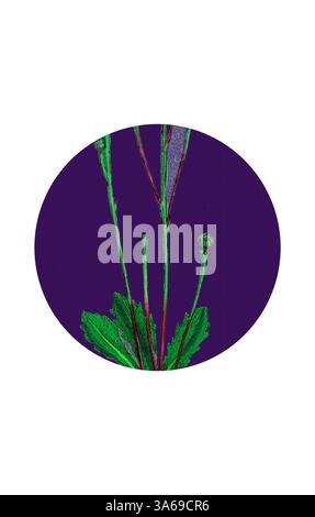 Background of green small leaves, stylized Stock Photo - Alamy