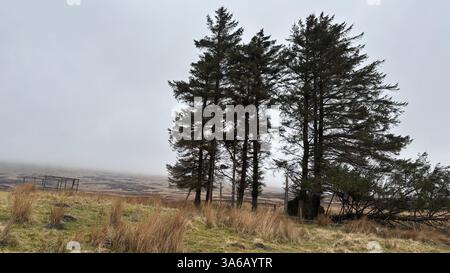 Windswept Scottish moorland and hills. Perthshire mountain range. Cnoc ...