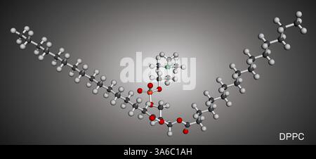 Dipalmitoylphosphatidylcholine, DPPC molecule. Natural phospholipid ...