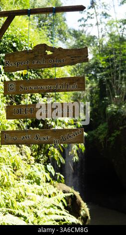 Suwat waterfall, Bali. The path leading to these waterfalls on Bali ...