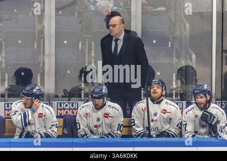 Craig Woodcroft (Head Coach Straubing Tigers) Schwenninger Wild Wings ...