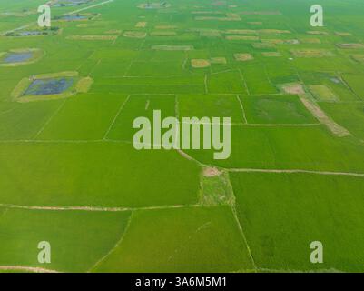 An aerial view of Arial Beel in Srinagar, Munshiganj, Bangladesh ...