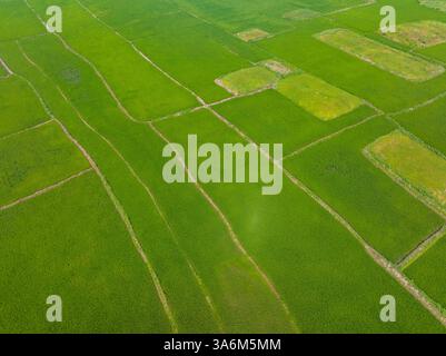 An aerial view of Arial Beel in Srinagar, Munshiganj, Bangladesh, shows ...
