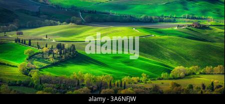 Tuscany landscape around Siena in the early morning Stock Photo - Alamy