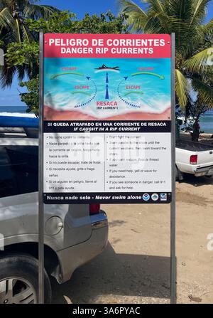 Rincón, PR - US - Mar 16, 2025 Surfers at Domes Beach in Rincón ride ...
