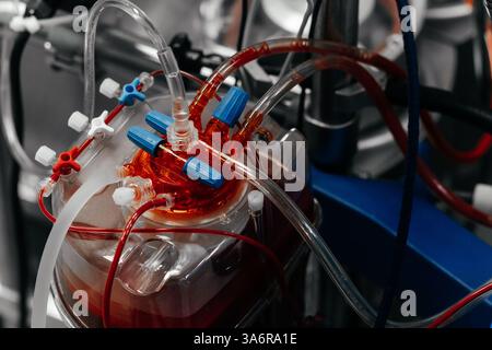 Cardiopulmonary bypass pumps takes over the heart and lungs during ...