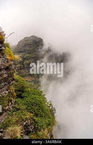 Fanjingshan, Mount Fanjing Nature Reserve - Sacred Mountain of Chinese ...