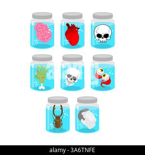 Alchemical jars set. Witches' potions. Pickled body parts. Horrible ...