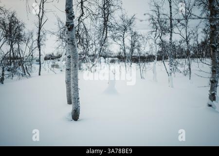 Snowy forest on the side of Saana Fell in Kilpisjarvi, Finnish Lapland ...