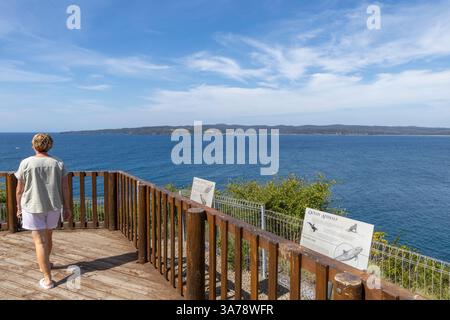 Eden lookout Rotary park, model released woman enjoys the view across ...