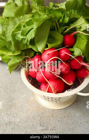 Red radish on a light grey background Stock Photo - Alamy