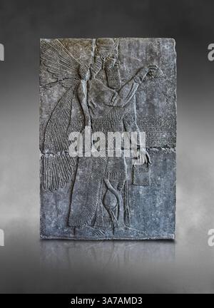 Assyrian winged genie. Assyrian relief from the Northwest Palace of ...