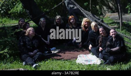 Gorilla and human. Western lowland gorilla (Gorilla gorilla gorilla ...