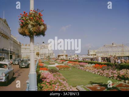 View along Promenade gardens to Eastbourne Pier in Spring, Eastbourne ...
