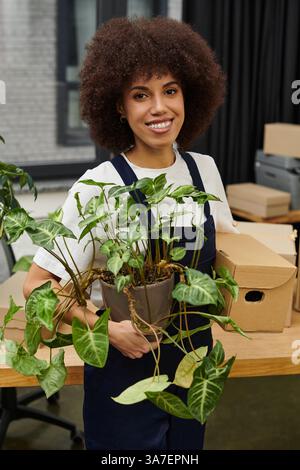 Woman carries furniture in boxes on a cart Stock Photo - Alamy