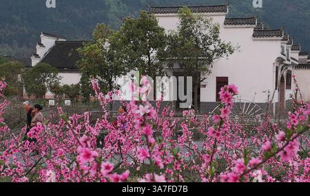 Yongzhou, China's Hunan Province. 25th Mar, 2025. A villager walks at ...