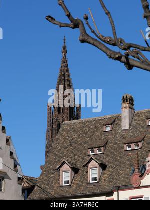 Gothic tower of the cathedral behind roof with dormers in Strasbourg ...