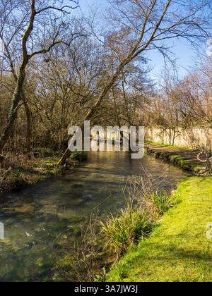 Thames and Severn Canal Towpath nr St Marys Mill, Thames and Severn ...