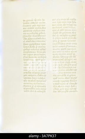 An ancient manuscript showcasing intricate columns of text and symbolic ...