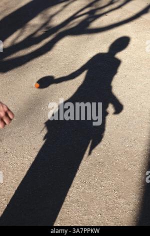 Table tennis, shadow of a player, Germany, Europe Stock Photo - Alamy