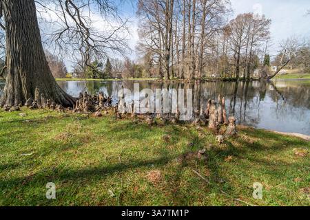 Spring Grove 2025 Stock Photo - Alamy