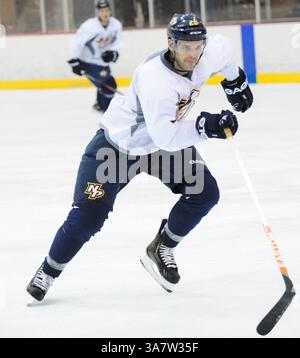 Nashville Predators center Paul Gaustad Stock Photo - Alamy