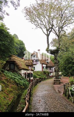 A lovely view of a lush green forest with an old wooden house and ...